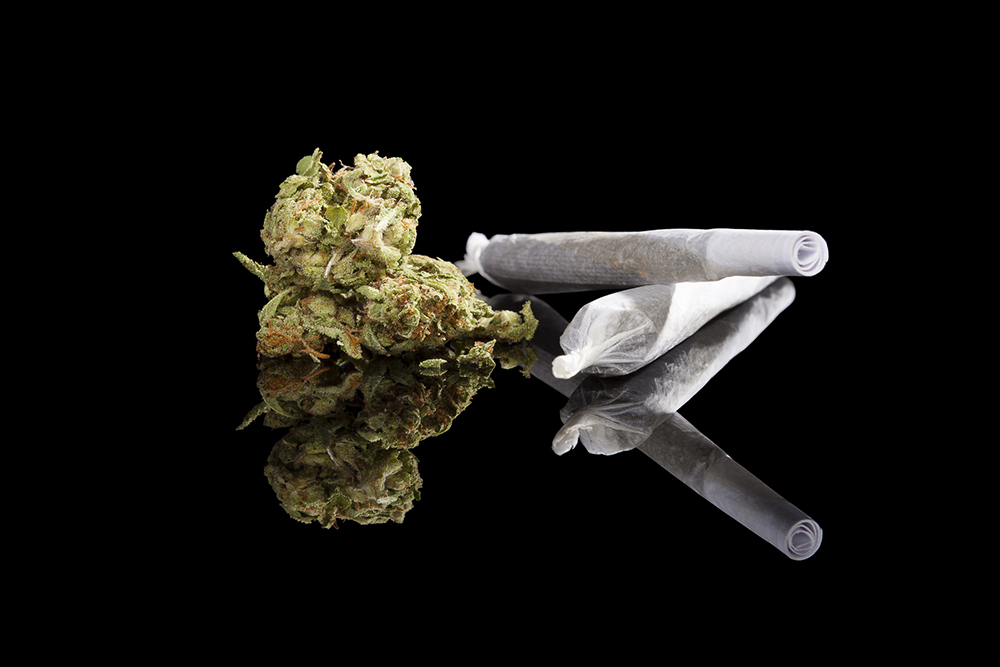 What You Need to Know About Marijuana and Workplace Safety and Wellness ...